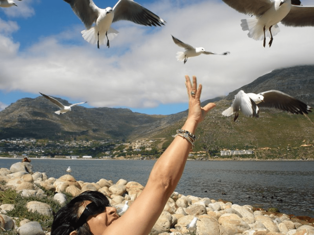 117 meses de Estrelato de Sônia Tinoco: 3 de Abril de 2024 – Julio ...